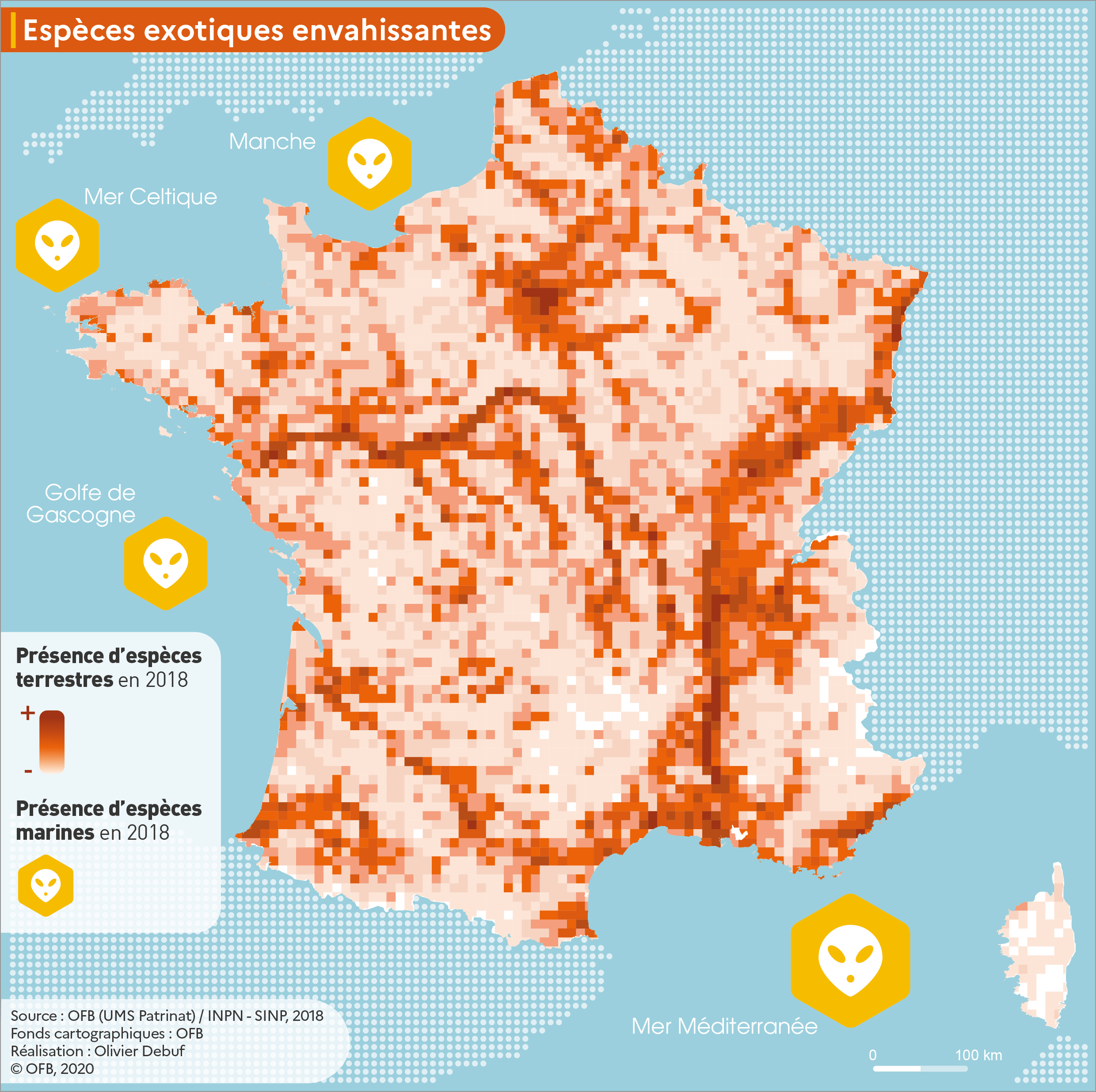 Espèces exotiques envahissantes | naturefrance Espèces exotiques envahissantes | naturefrance